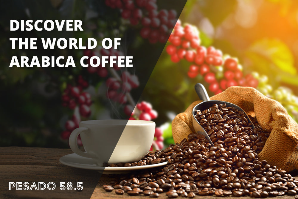 Exploring Arabica Coffee: Origins, Flavors & Culture – Pesado 58.5