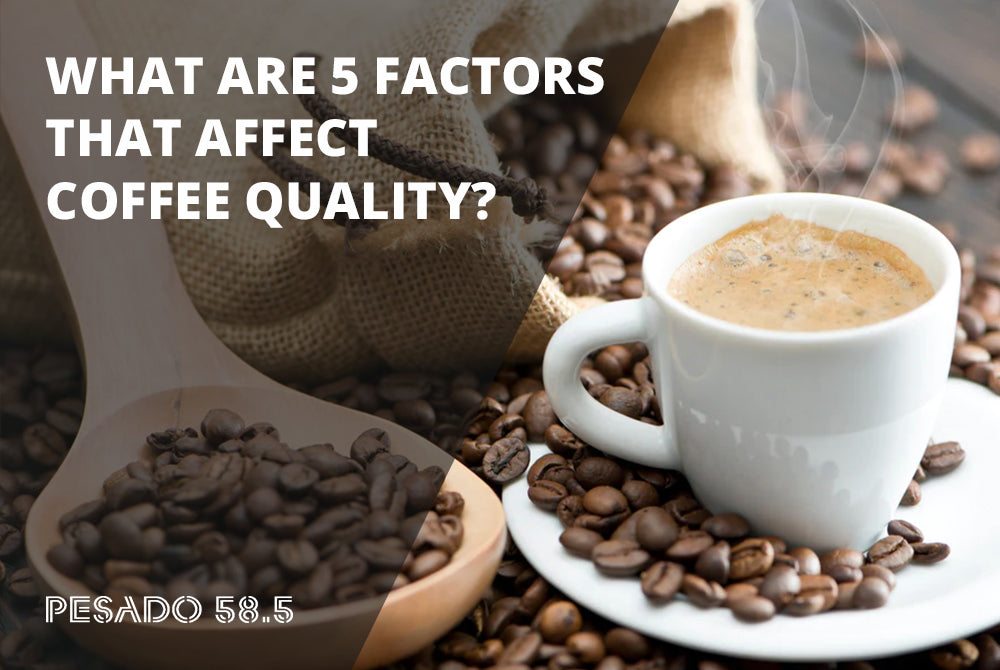 Factors That Can Affect Coffee Quality | Pesado – Pesado 58.5